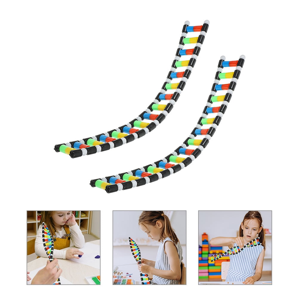 Phenofice 2 Sets of Plastic Double Helix Model Components for Academic ...