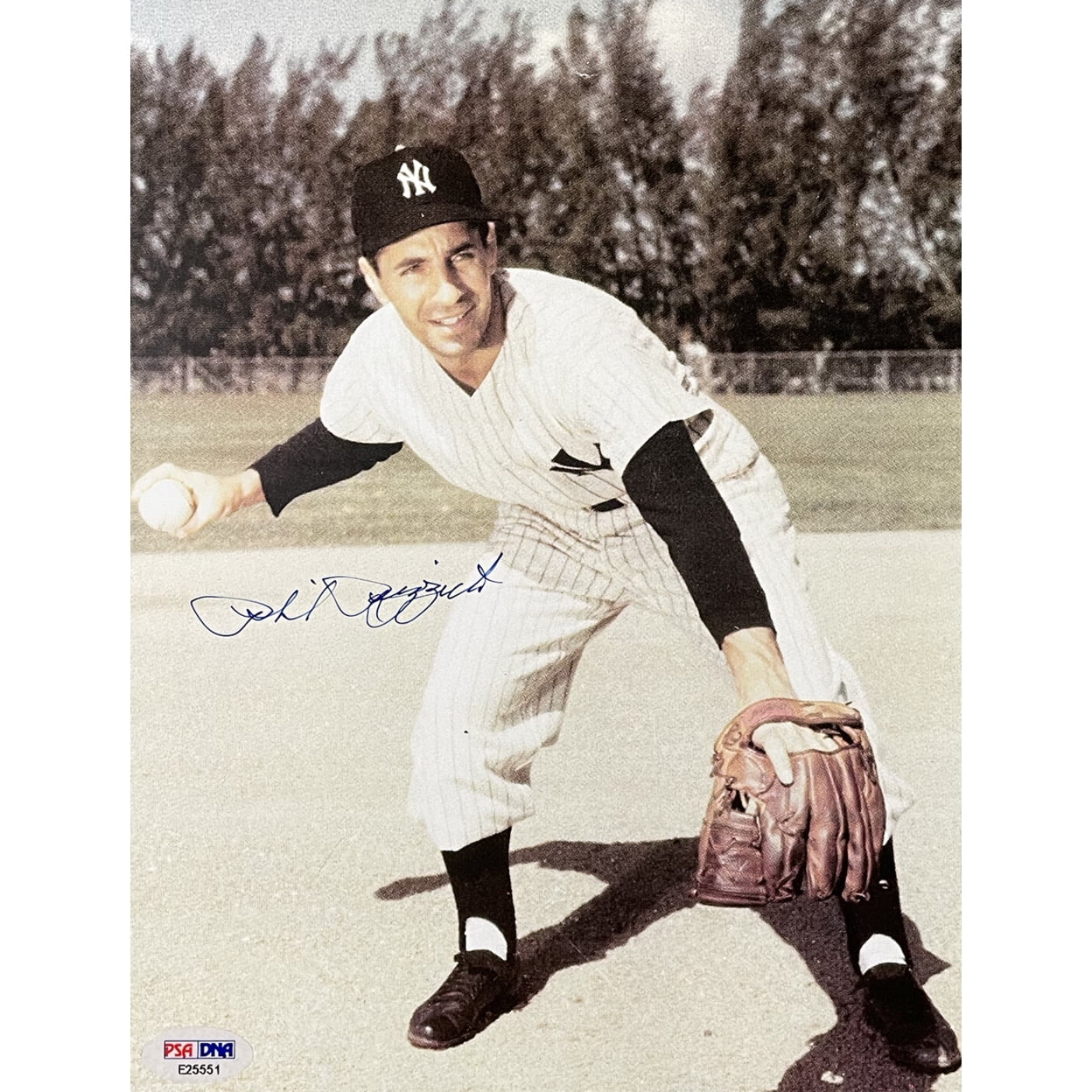 Phil Rizzuto Signed 8x10 York Yankees Baseball Photo PSA/DNA - Walmart.com