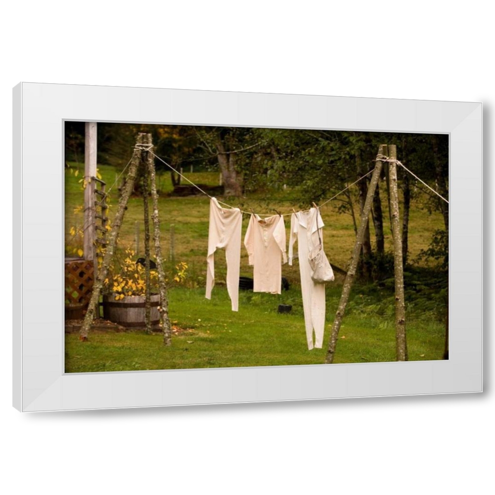 Philip Clayton-Thompson 4x24 White Modern Wood Framed Wall Art Titled ...