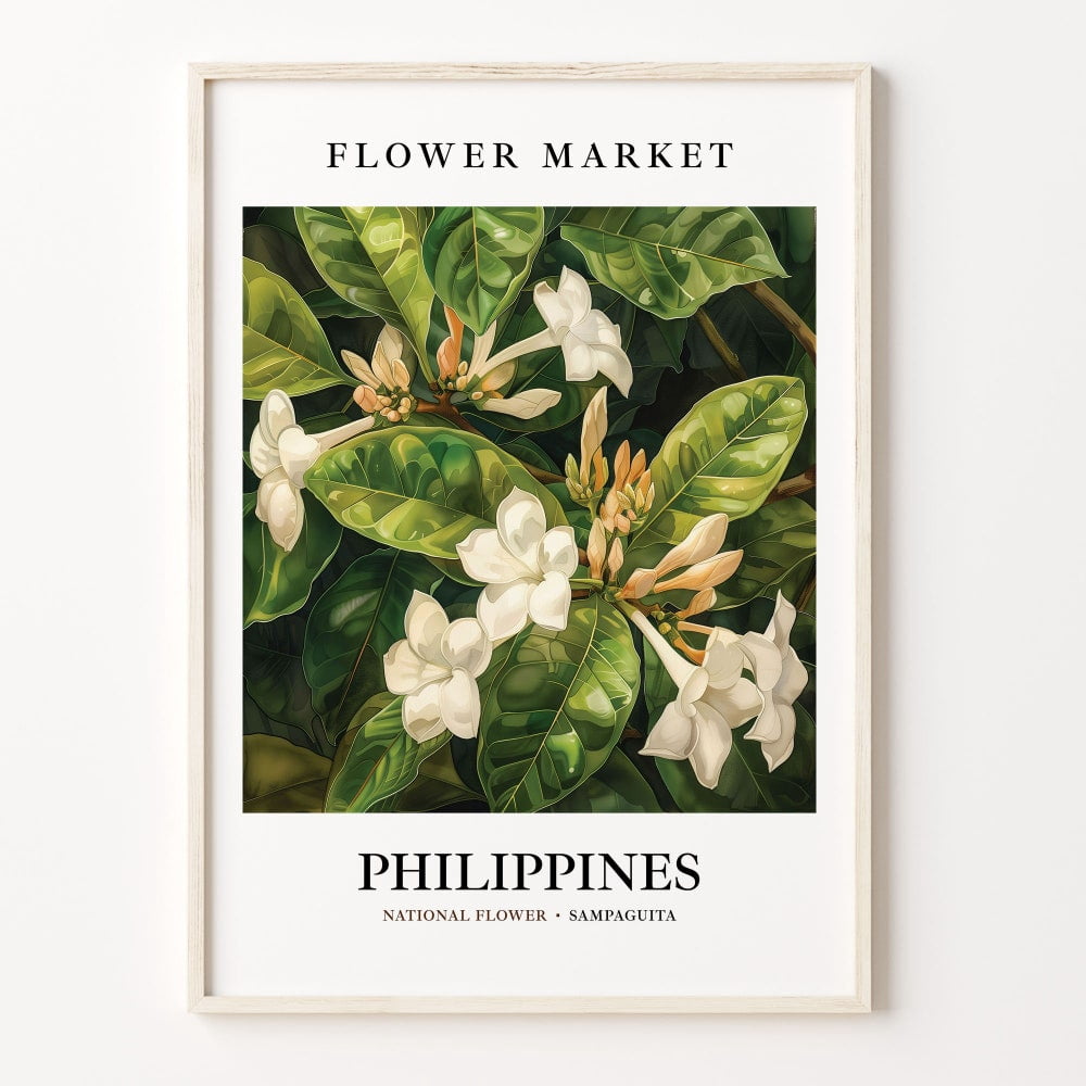 Philippines National Flower Art Print, Sampaguita Wall Art, Botanical ...