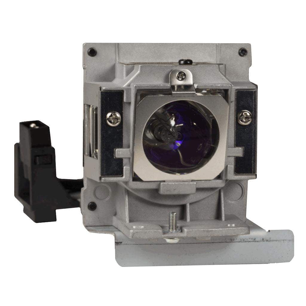 Philips 02602 - 5J.J8K05.001 Projector Light Bulb - Walmart.com