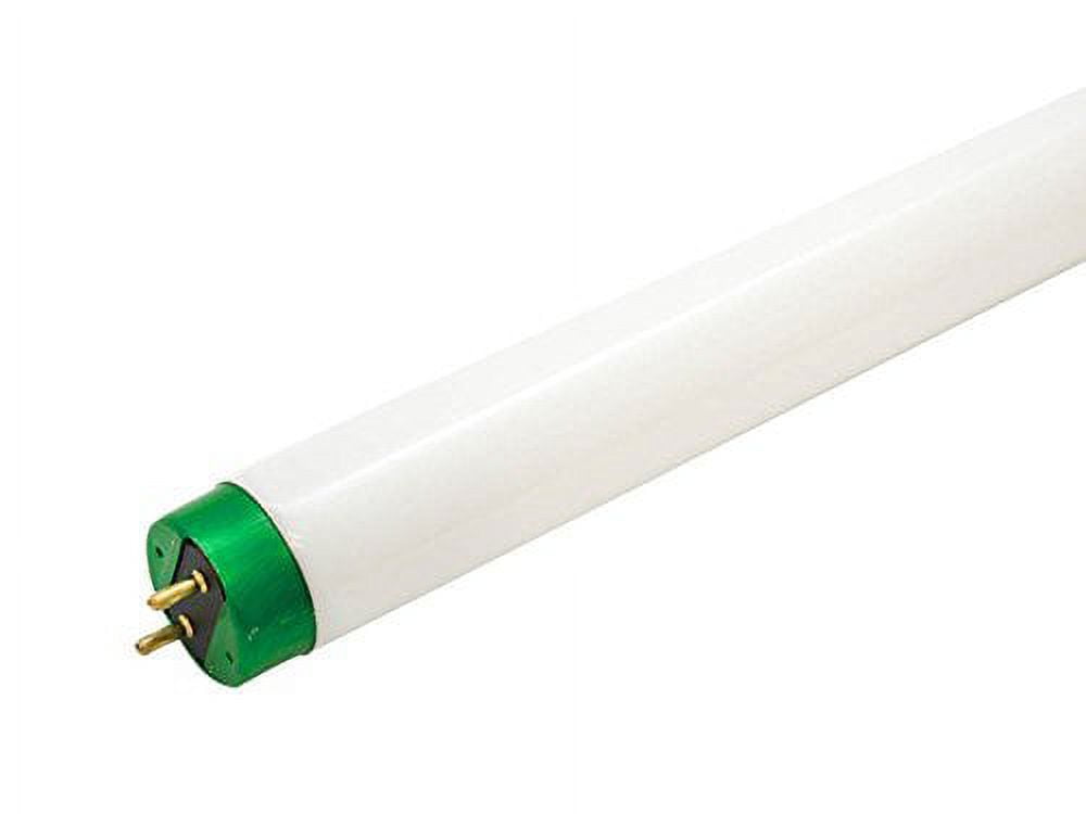Philips 20 Watt Fluorescent Tube Light Bulb, T12, Cool White, 4100K, 24 ...