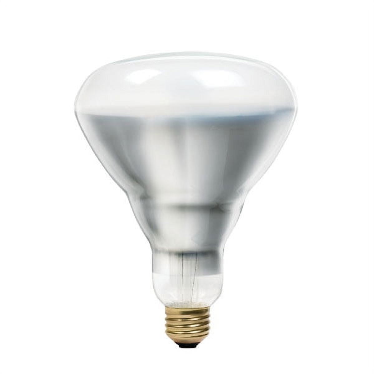 Philips 222380 - 40BR40/HEA/FL 120V BR40 Halogen Light Bulb - Walmart.com