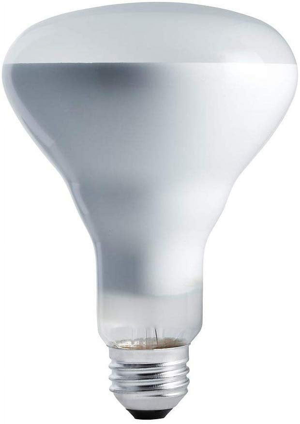 Philips 24876-5 - 65 Watt Light Bulb - BR30 - 2,000 Life Hours - 620 ...