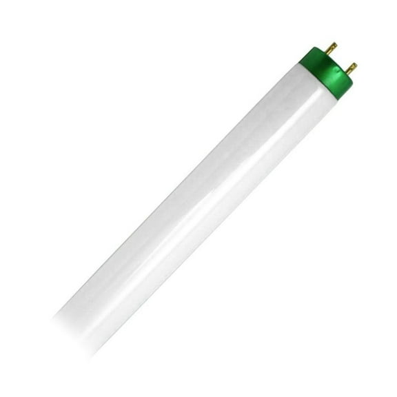 Fluorescent Light Bulb Color