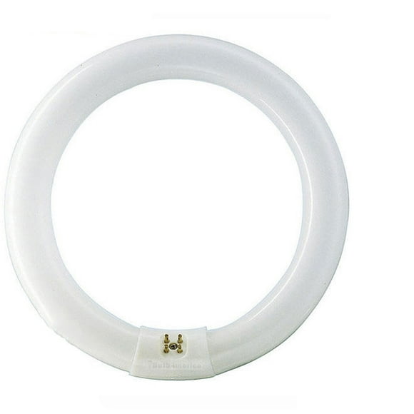 Circular Light Bulbs