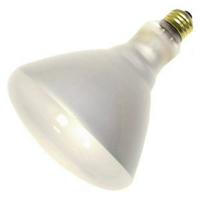 Philips 389312 - 125BR40/1 Heat Lamp Light Bulb - Walmart.com