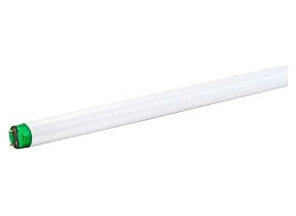 Philips 40W T12 Fluorescent Tubes Bulbs, 4-Foot, 6500-Kelvin, Bright ...