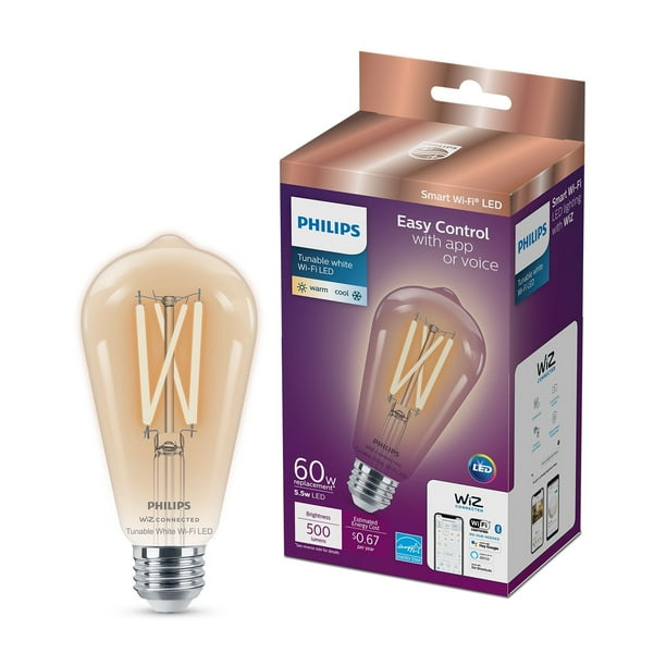 Philips Wi-Fi Connected LED 60-Watt ST19 Filament Tubular Light Bulb ...