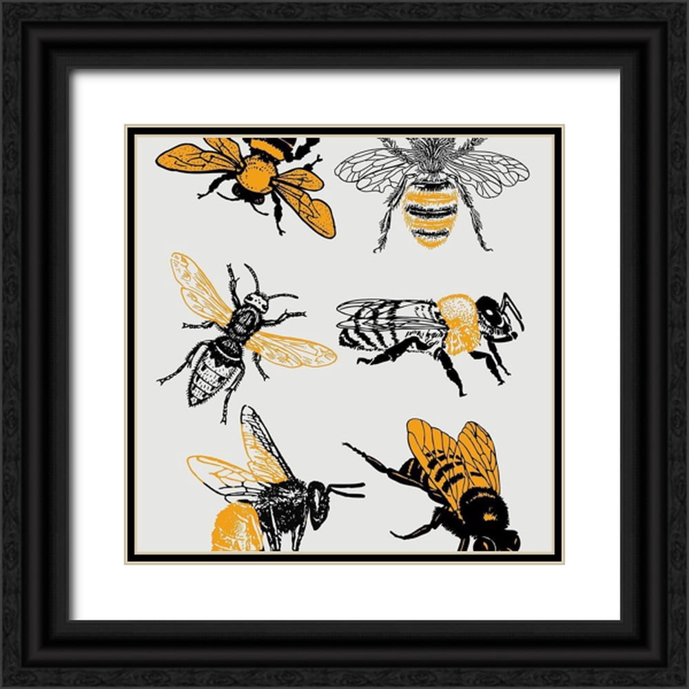 Phillip, Jamie 12x12 Black Ornate Wood Framed with Double Matting ...