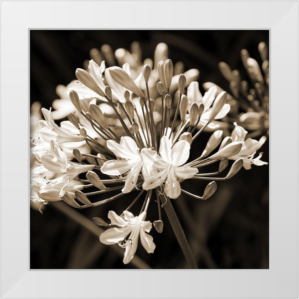 Phillip, Jamie 12x12 White Modern Wood Framed Museum Art Print Titled ...