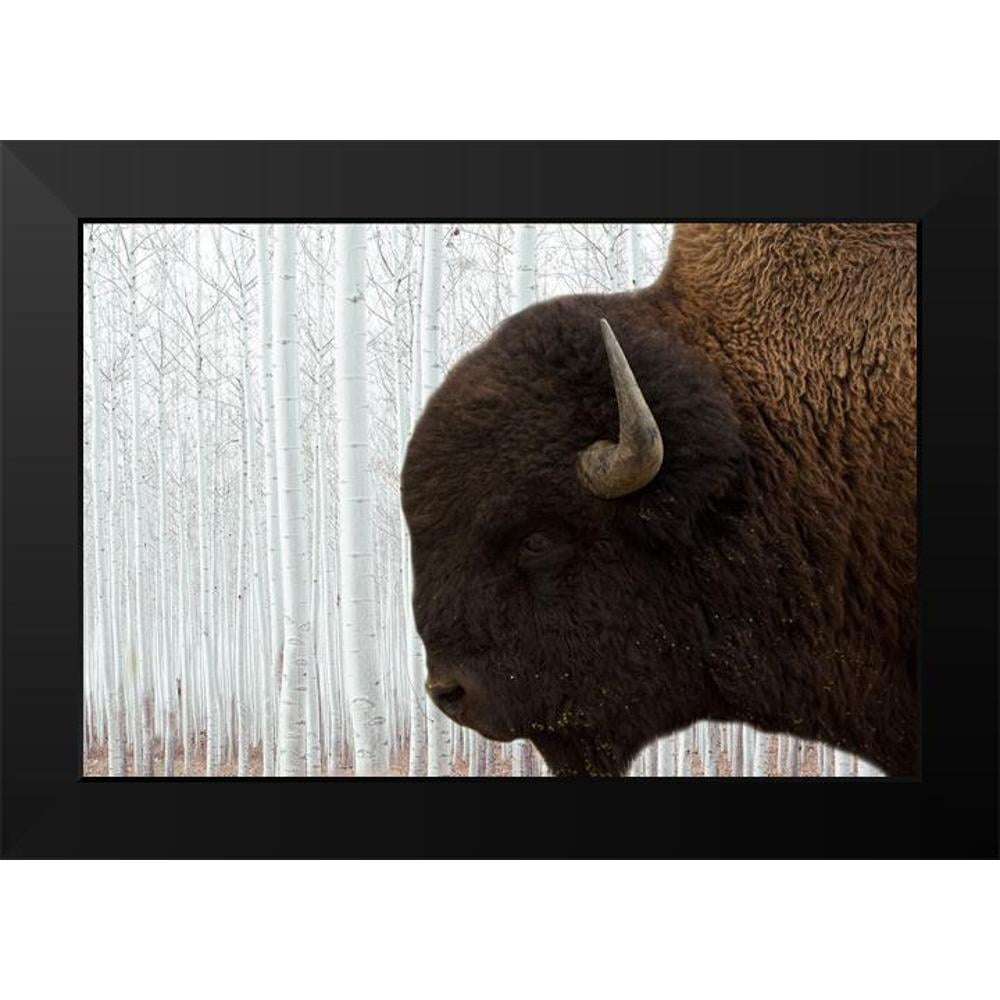 Phillip, Jamie 14x11 Black Modern Framed Museum Art Print Titled ...