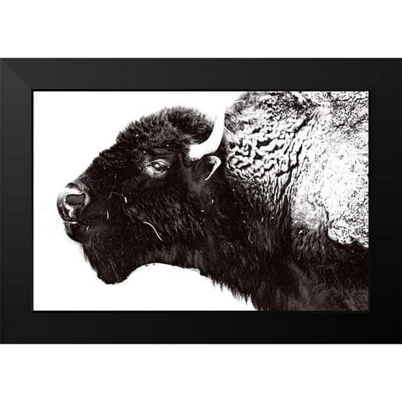 Phillip, Jamie 14x11 Black Modern Framed Museum Art Print Titled ...