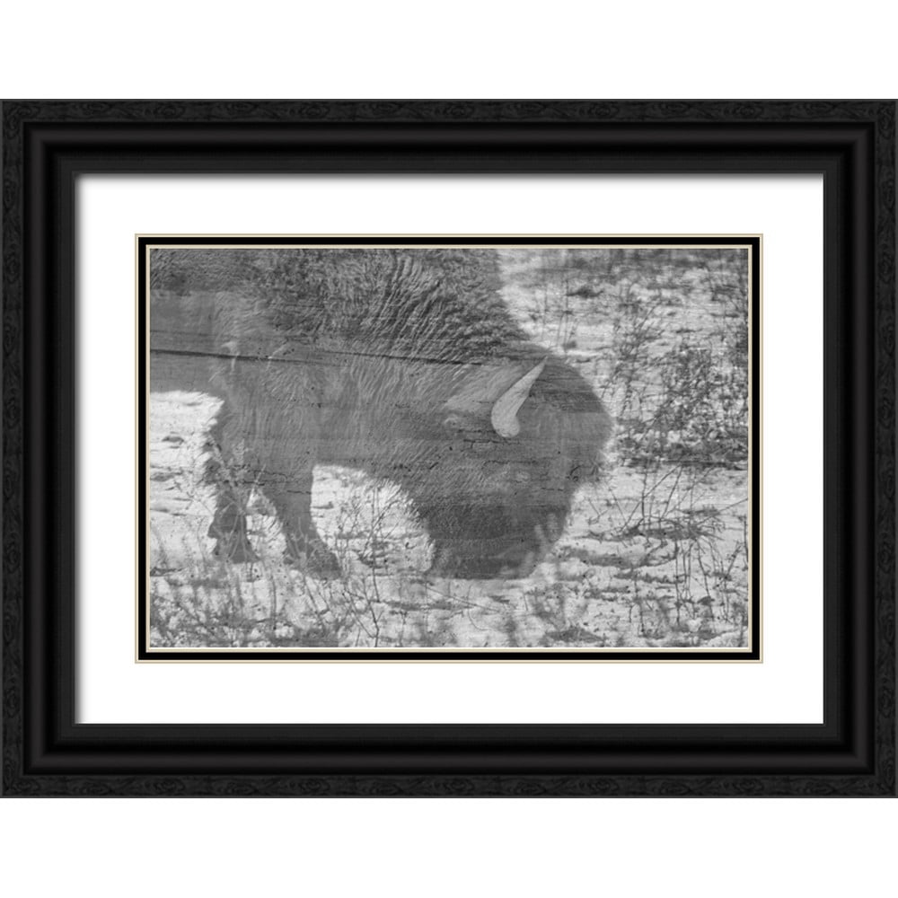 Phillip, Jamie 14x11 Black Ornate Wood Framed with Double Matting ...