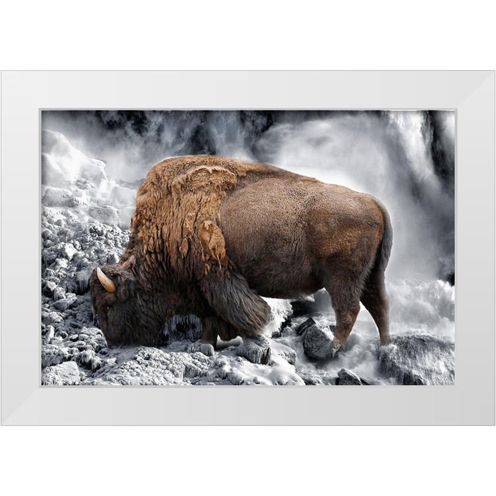 Phillip, Jamie 14x11 White Modern Wood Framed Museum Art Print Titled ...