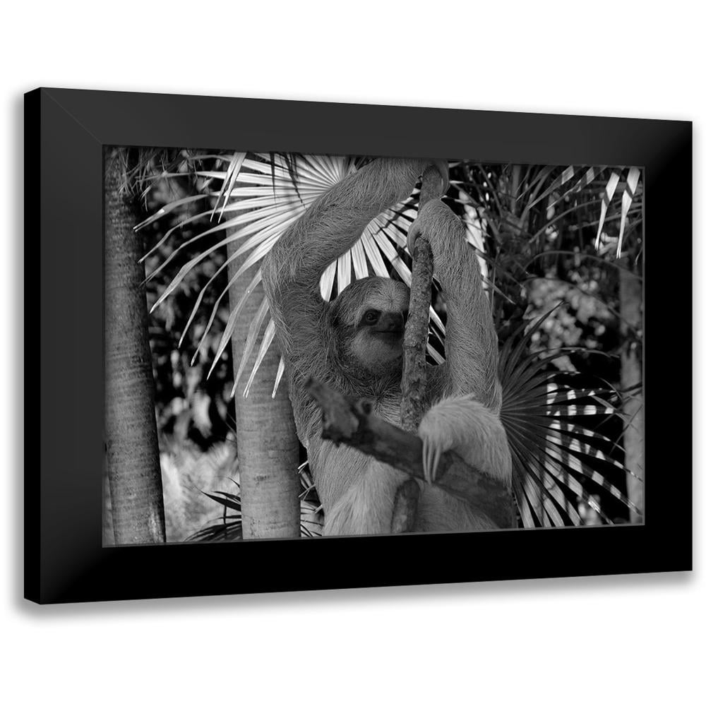 Phillip, Jamie 14x12 Black Modern Framed Museum Art Print Titled ...