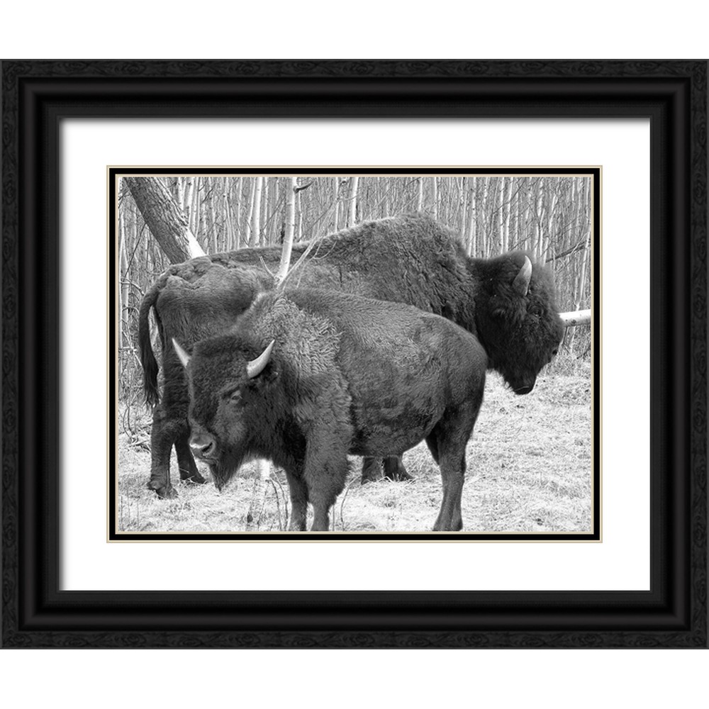Phillip, Jamie 14x12 Black Ornate Wood Framed with Double Matting ...