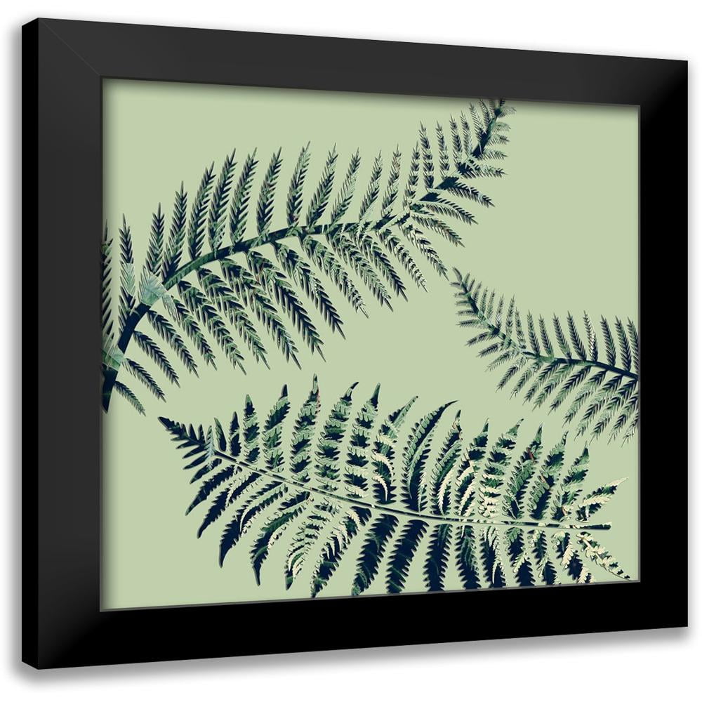Phillip, Jamie 15x15 Black Modern Framed Museum Art Print Titled ...