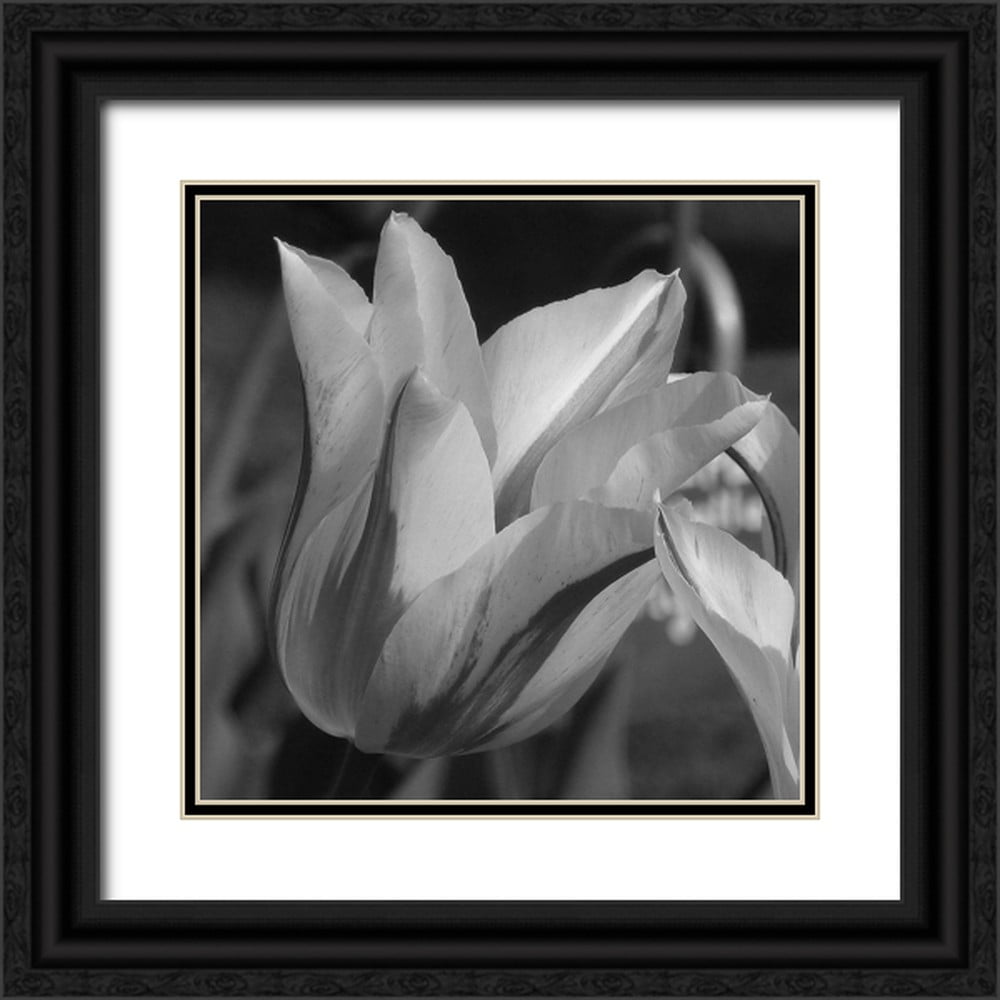 Phillip, Jamie 15x15 Black Ornate Wood Framed with Double Matting ...