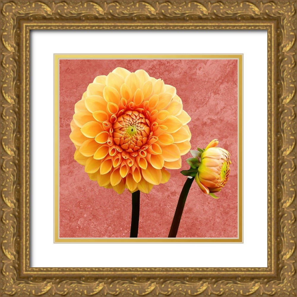 Phillip, Jamie 15x15 Gold Ornate Wood Framed with Double Matting Museum ...