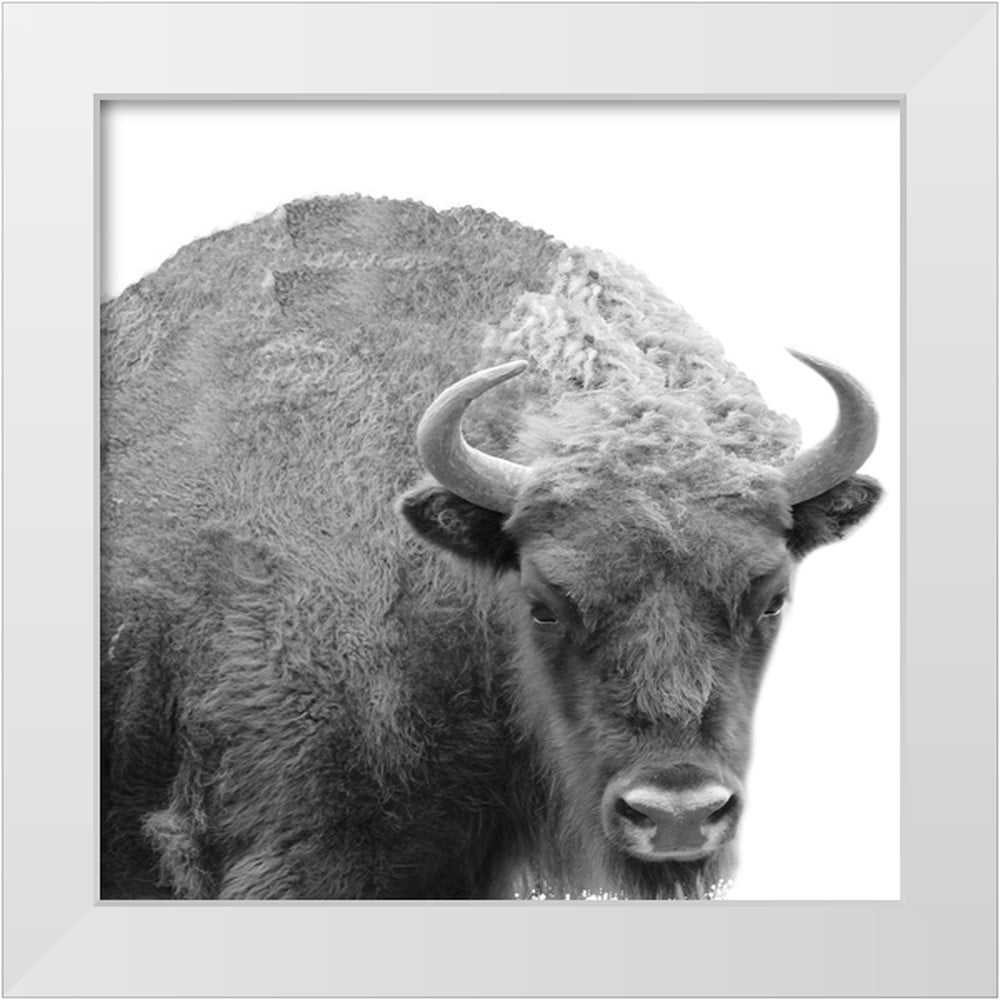 Phillip, Jamie 15x15 White Modern Wood Framed Museum Art Print Titled ...