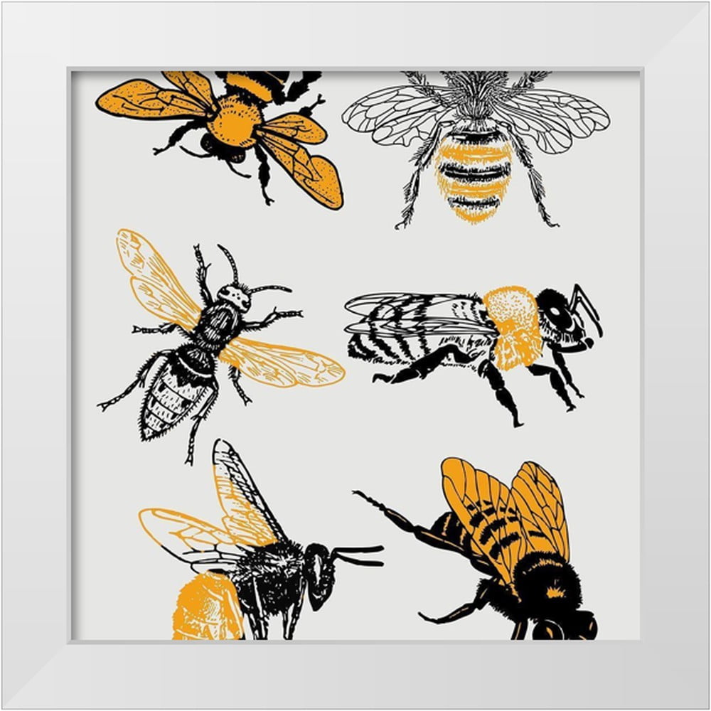 Phillip, Jamie 15x15 White Modern Wood Framed Museum Art Print Titled ...