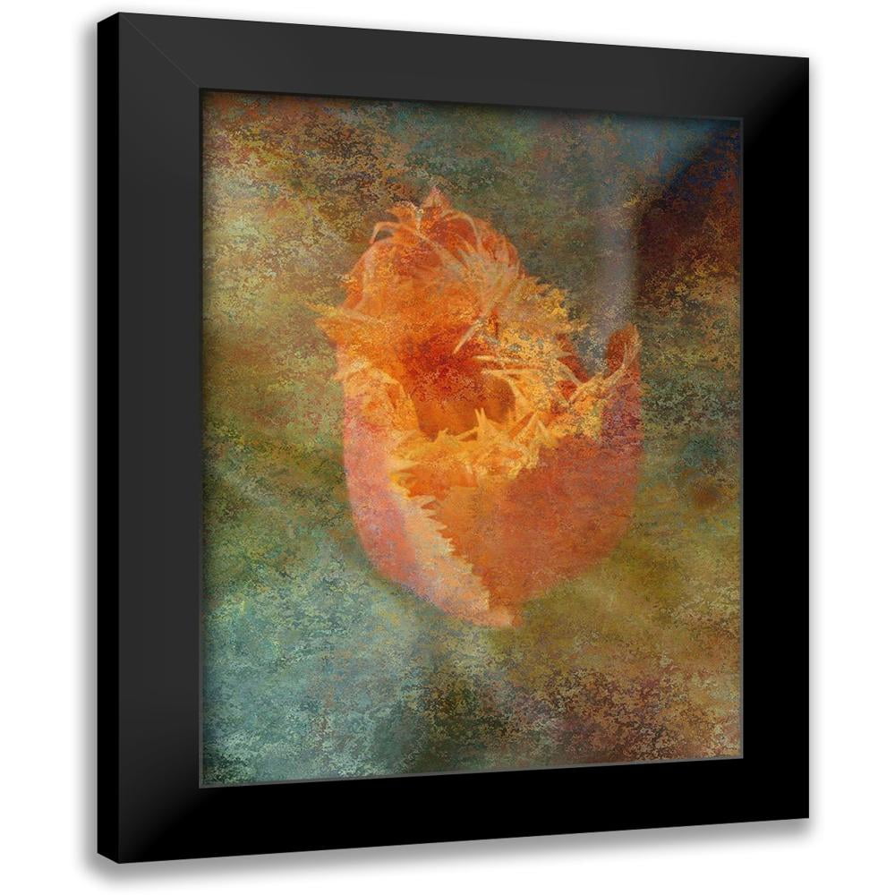 Phillip, Jamie 15x18 Black Modern Framed Museum Art Print Titled ...