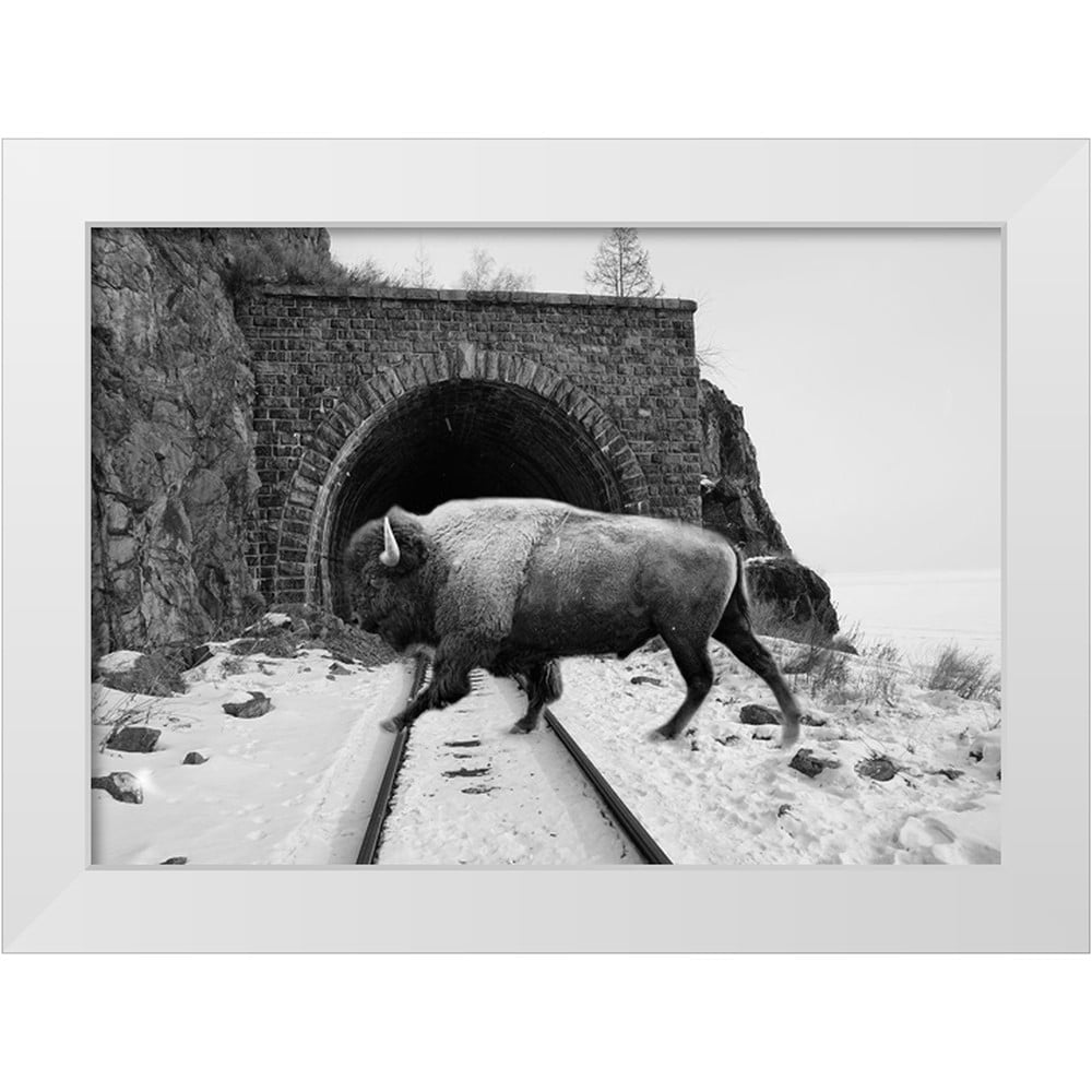 Phillip, Jamie 18x14 White Modern Wood Framed Museum Art Print Titled ...