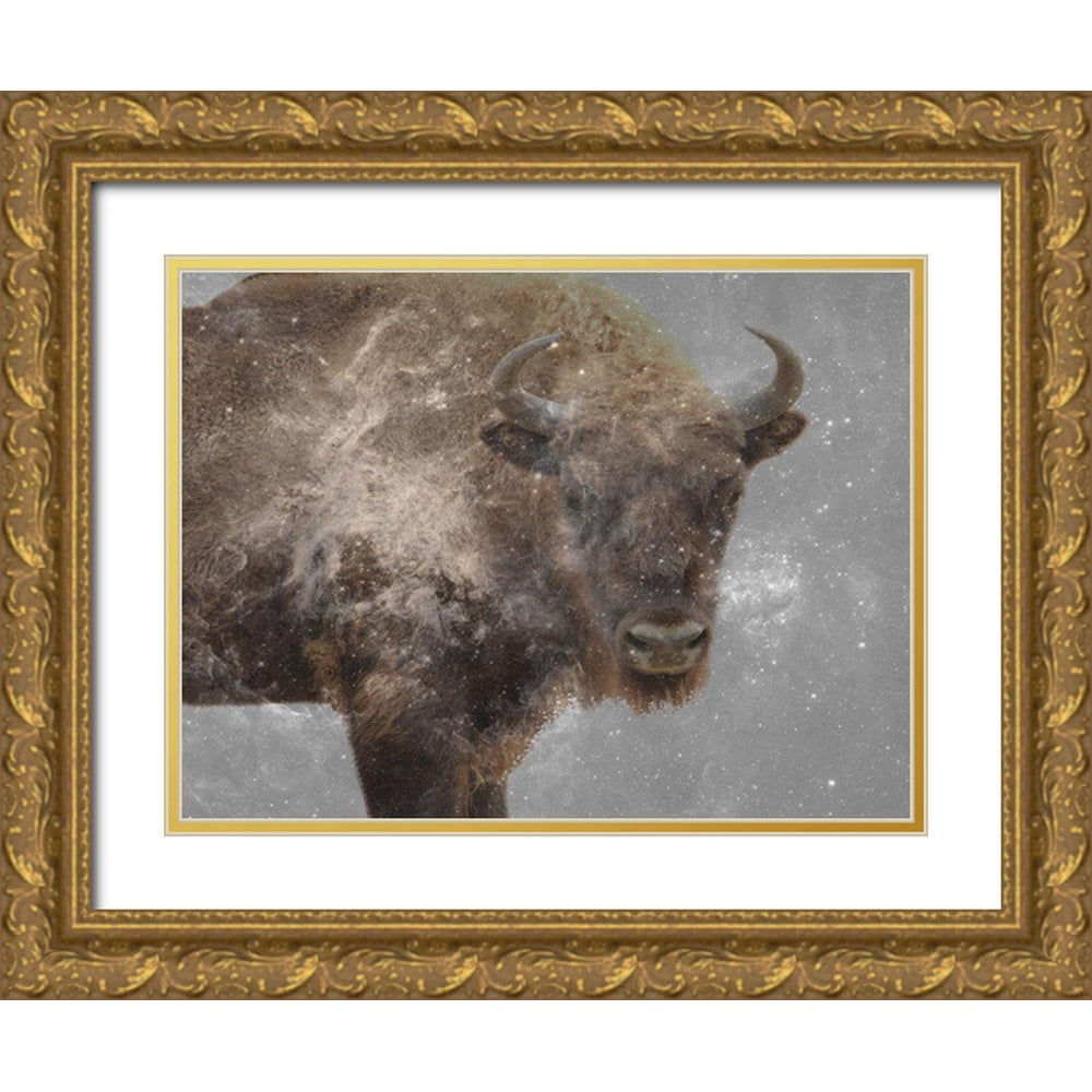 Phillip, Jamie 18x15 Gold Ornate Wood Framed with Double Matting Museum ...