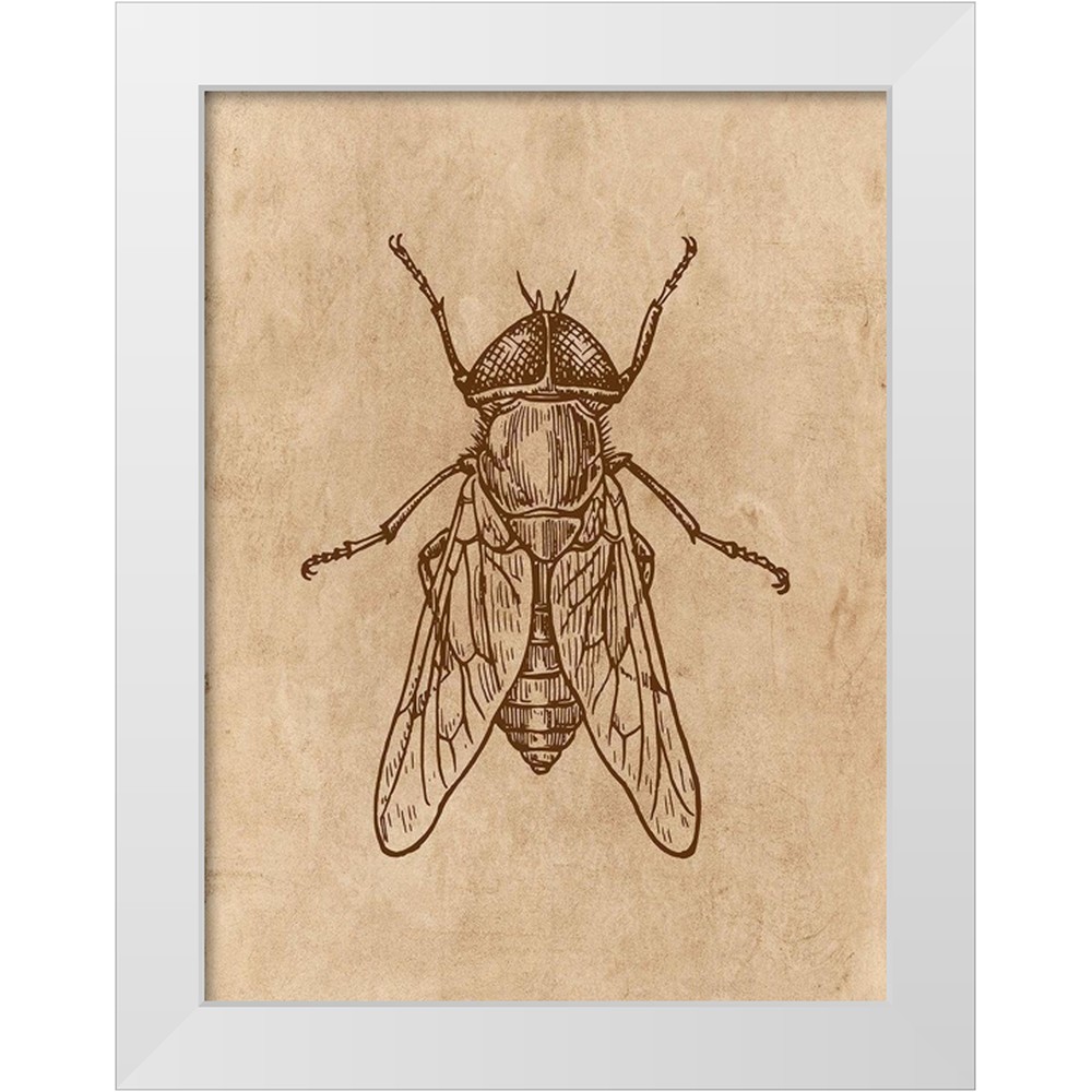 Phillip, Jamie 19x24 White Modern Wood Framed Museum Art Print Titled ...