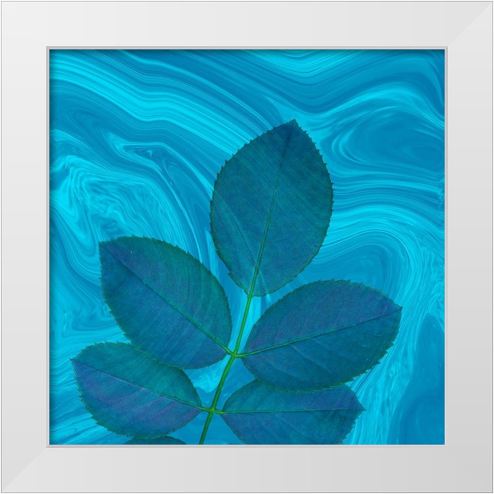Phillip, Jamie 20x20 White Modern Wood Framed Museum Art Print Titled ...