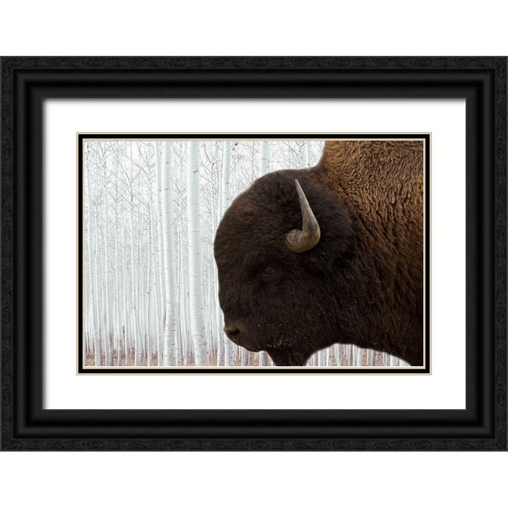 Phillip, Jamie 24x17 Black Ornate Wood Framed with Double Matting ...