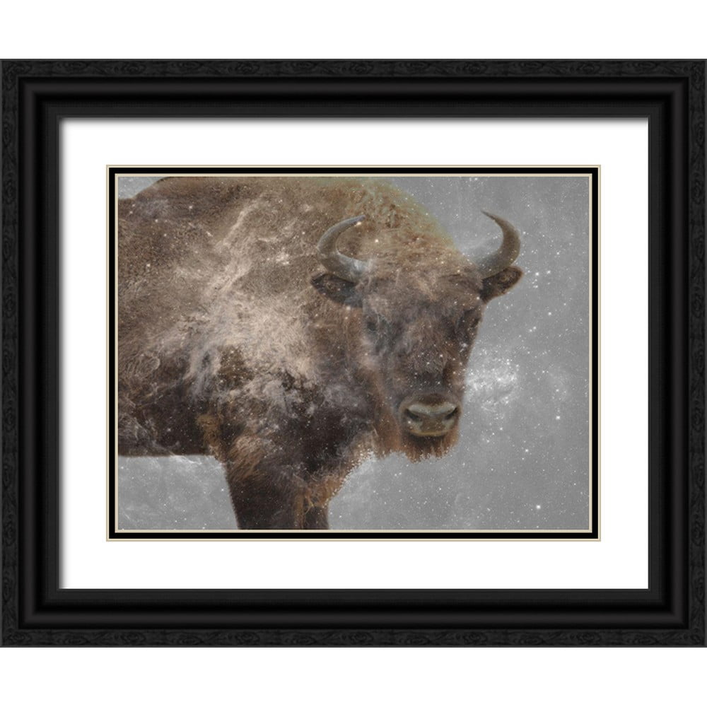 Phillip, Jamie 24x19 Black Ornate Wood Framed with Double Matting ...