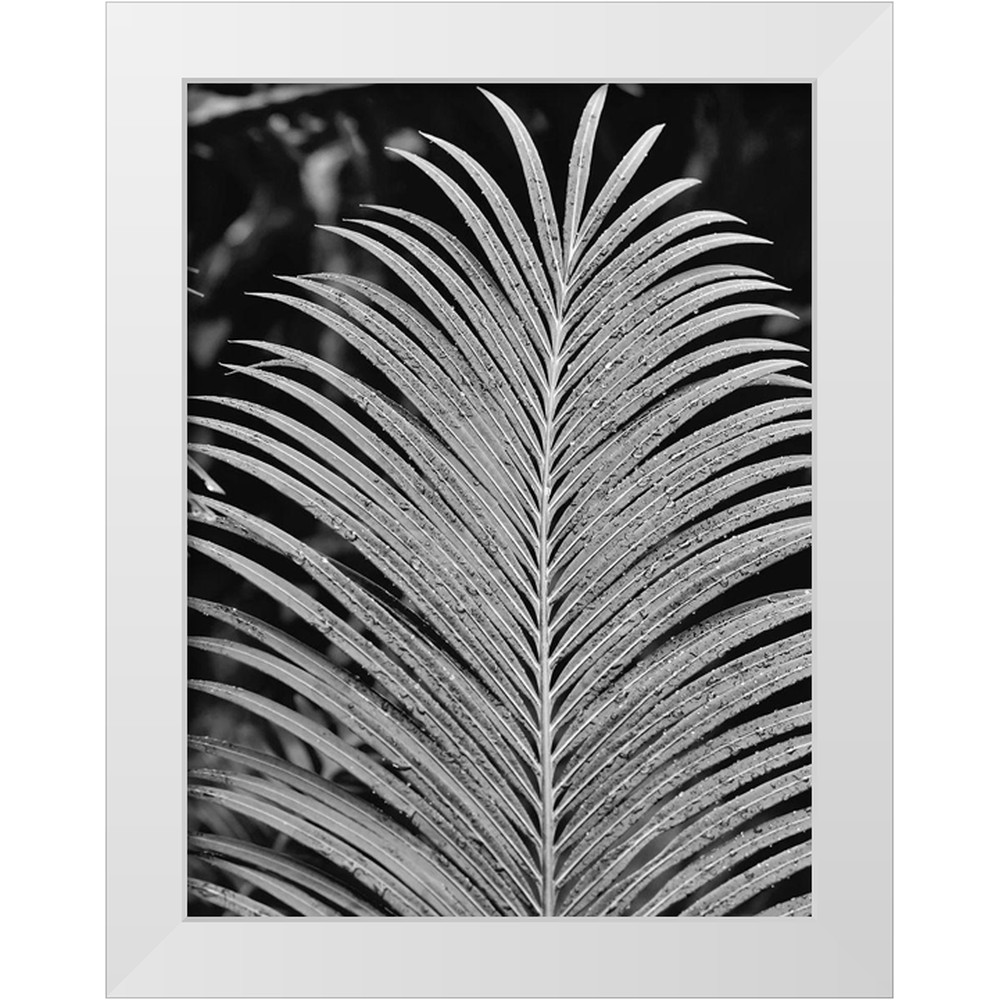 Phillip, Jamie 25x32 White Modern Wood Framed Museum Art Print Titled ...