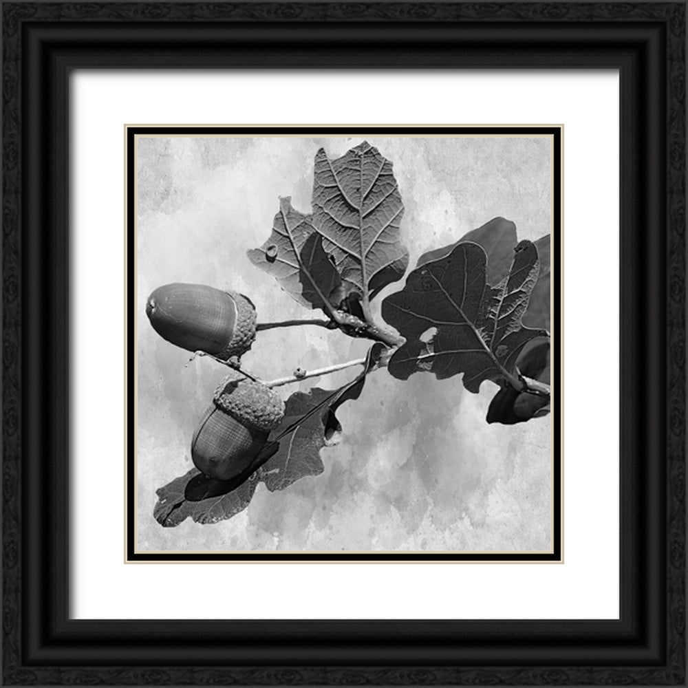 Phillip, Jamie 26x26 Black Ornate Wood Framed with Double Matting ...