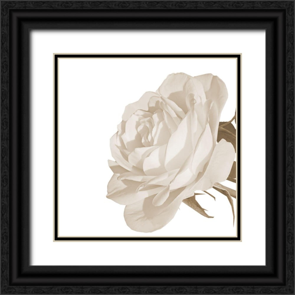 Phillip, Jamie 26x26 Black Ornate Wood Framed with Double Matting ...