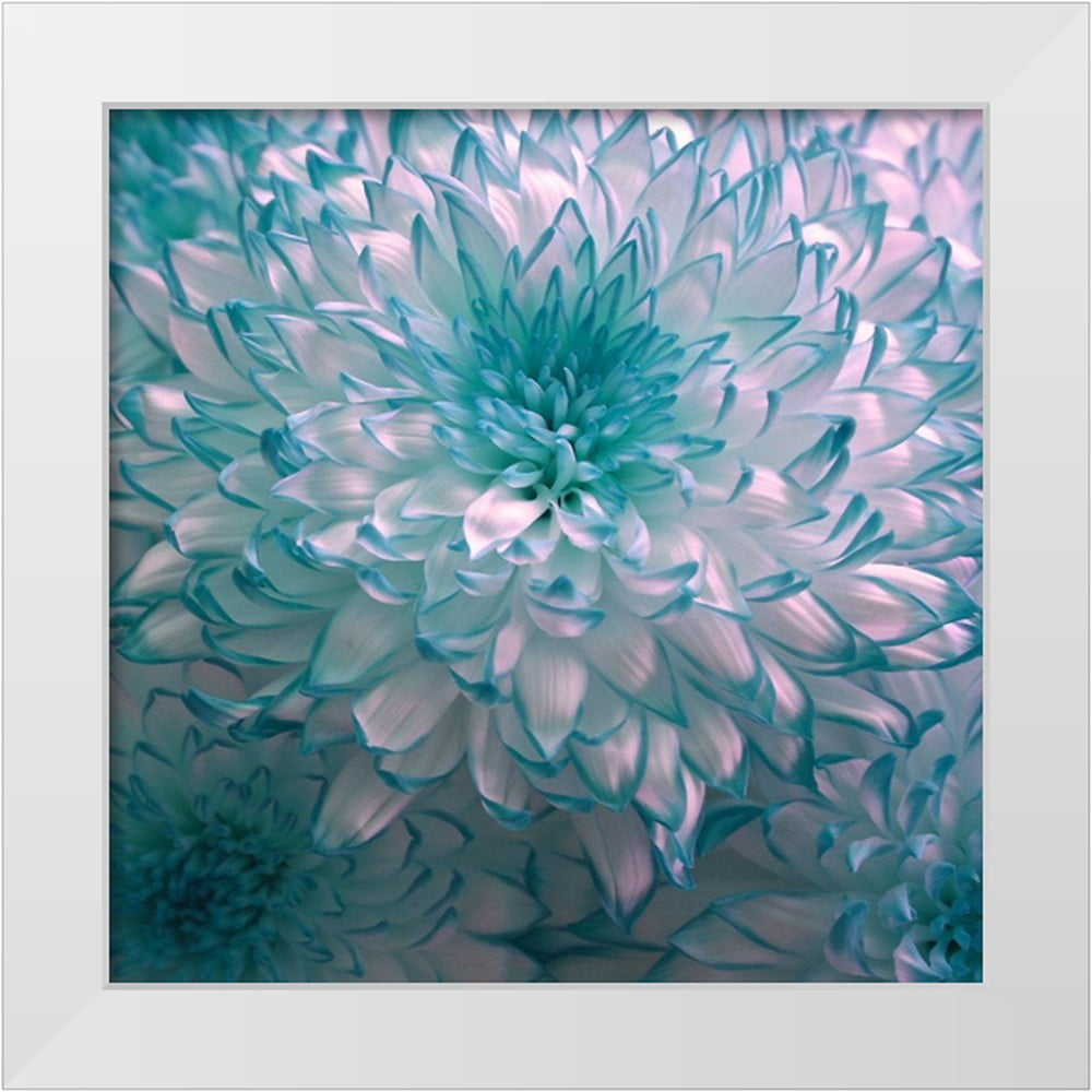 Phillip, Jamie 26x26 White Modern Wood Framed Museum Art Print Titled ...