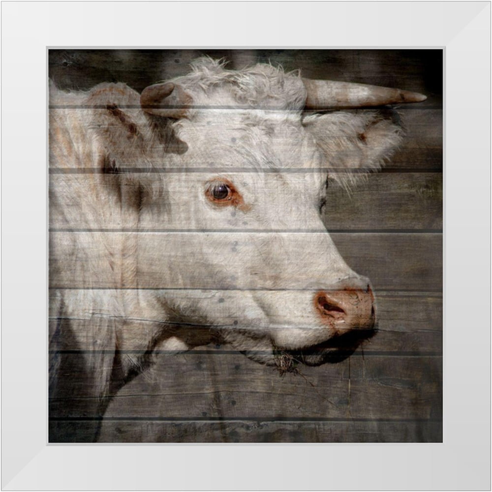 Phillip, Jamie 26x26 White Modern Wood Framed Museum Art Print Titled ...