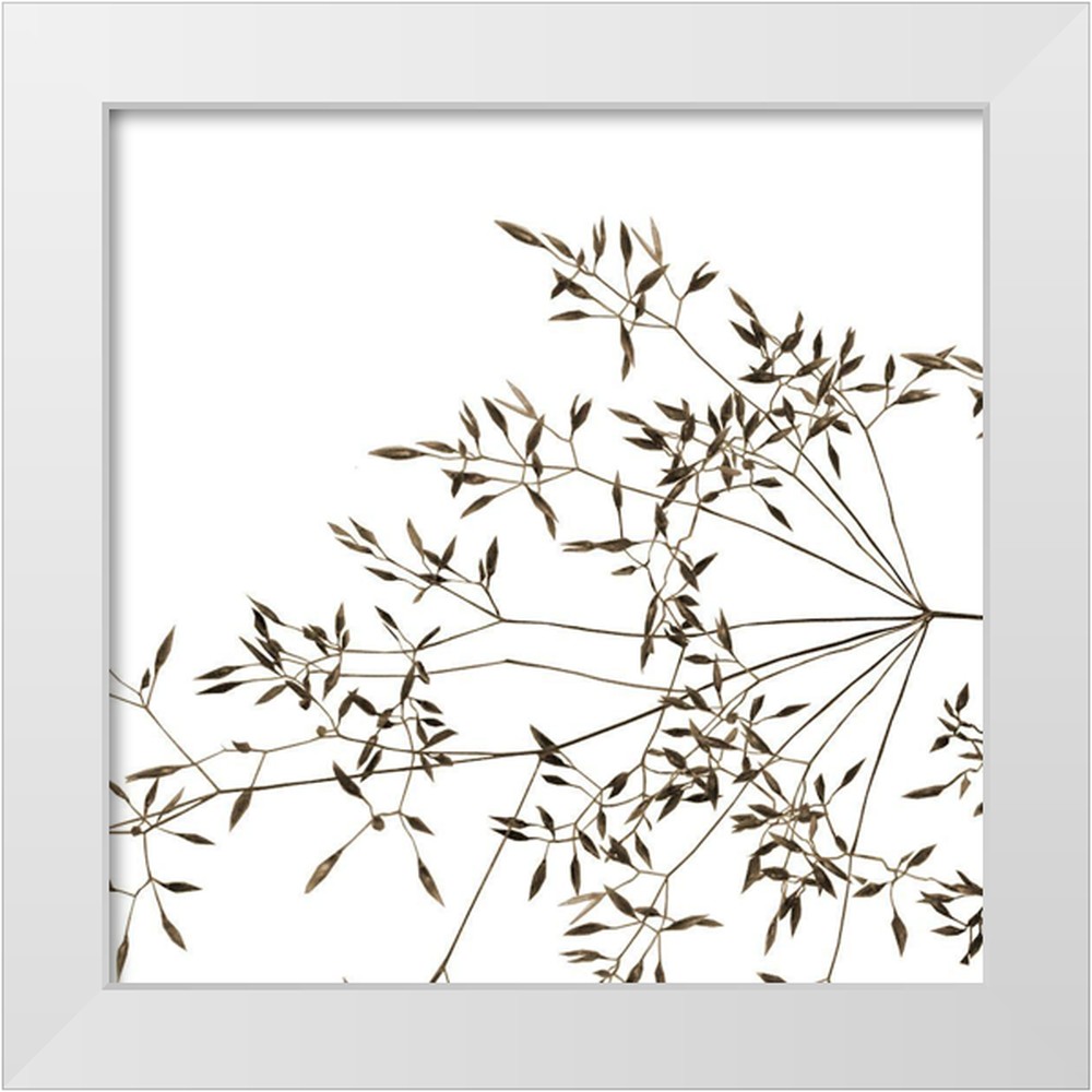 Phillip, Jamie 26x26 White Modern Wood Framed Museum Art Print Titled ...