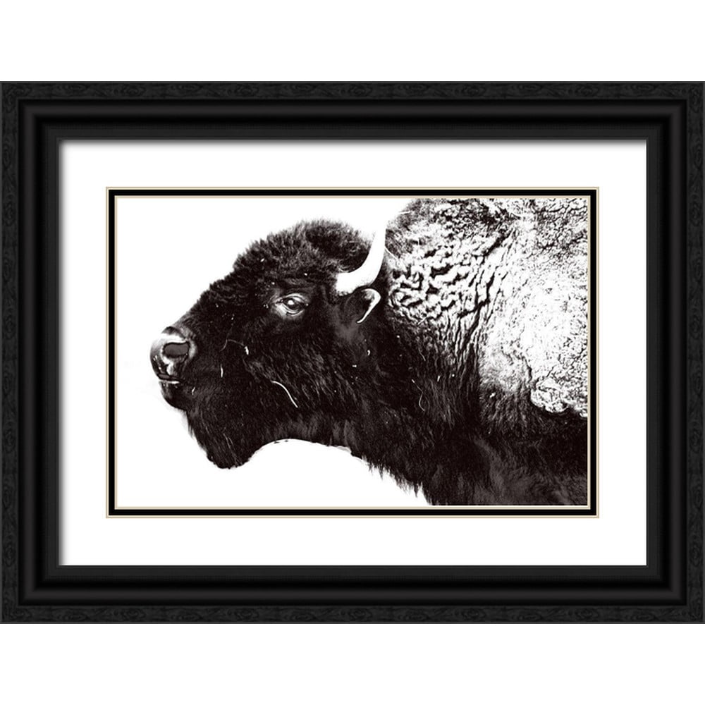 Phillip, Jamie 32x22 Black Ornate Wood Framed with Double Matting ...