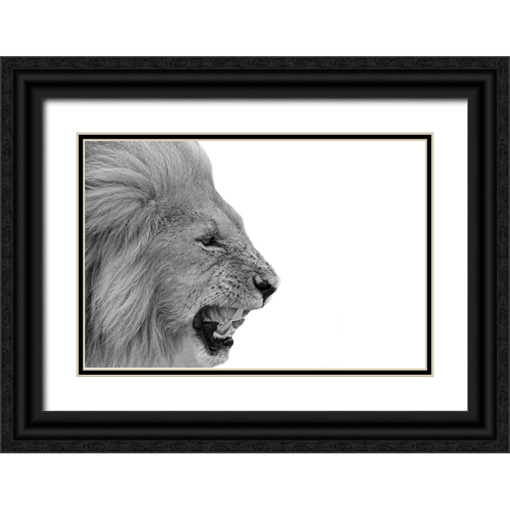 Phillip, Jamie 32x23 Black Ornate Wood Framed with Double Matting ...