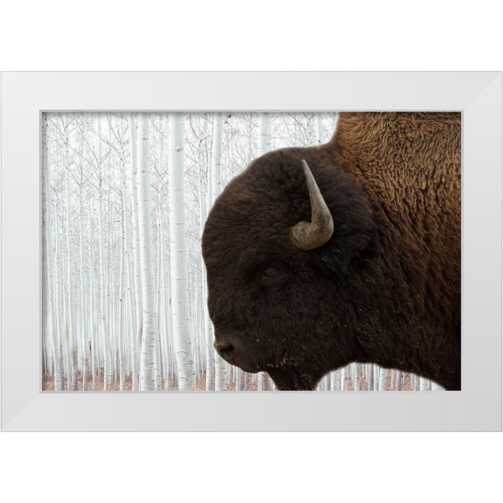 Phillip, Jamie 32x23 White Modern Wood Framed Museum Art Print Titled ...