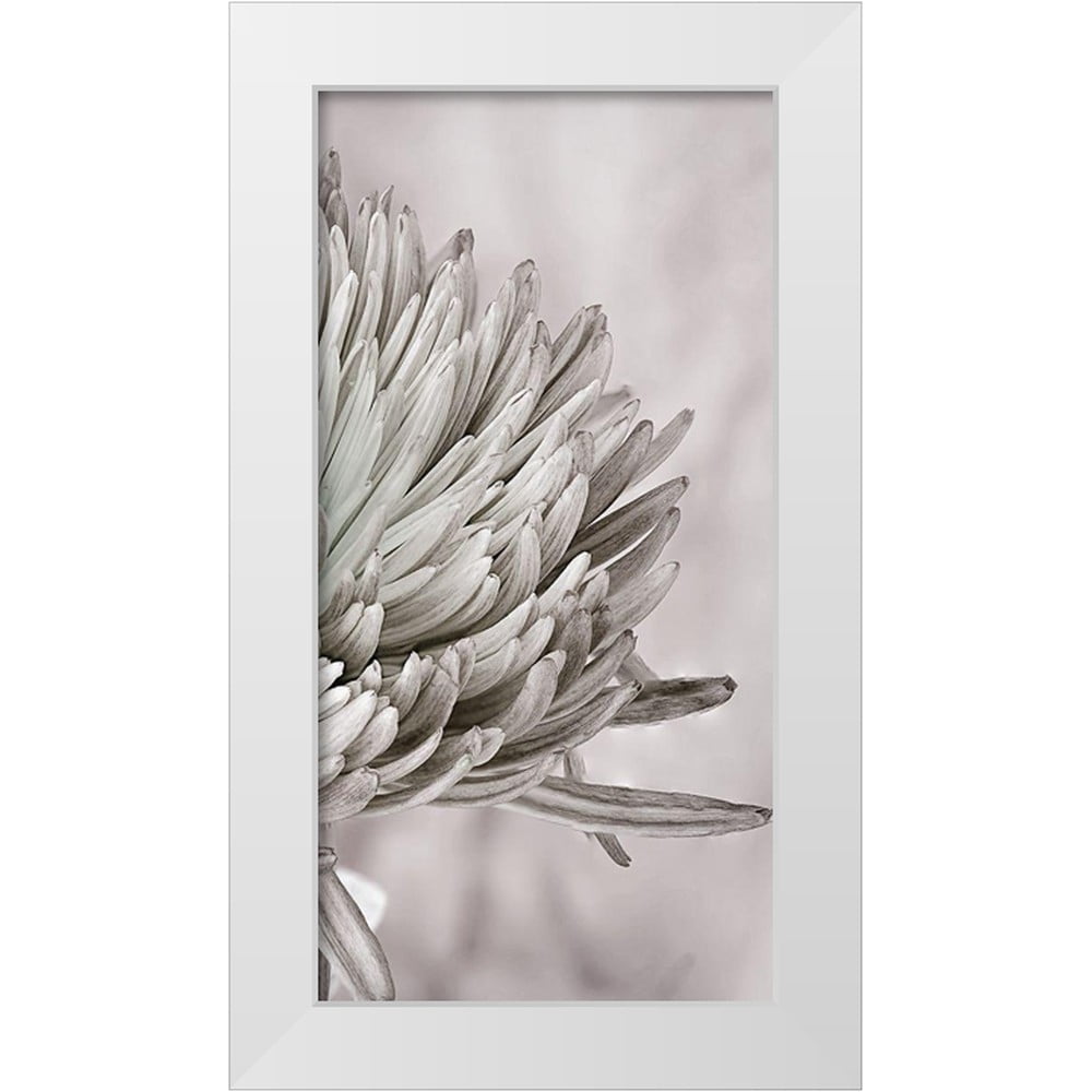 Phillip, Jamie 9x14 White Modern Wood Framed Museum Art Print Titled ...