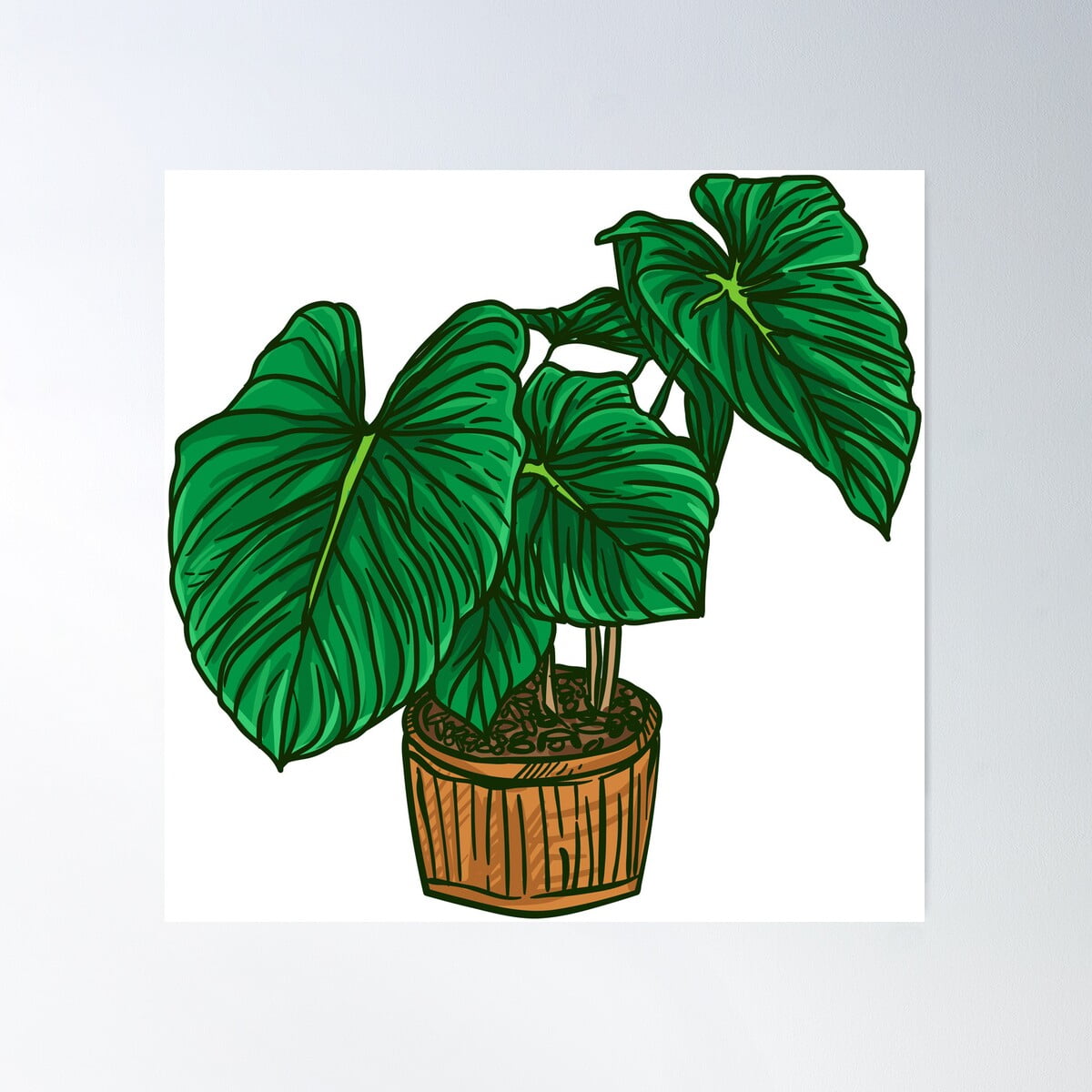 Philodendron Mc Dowell Aroid Poster Wall Art, Modern Wall Decor For ...