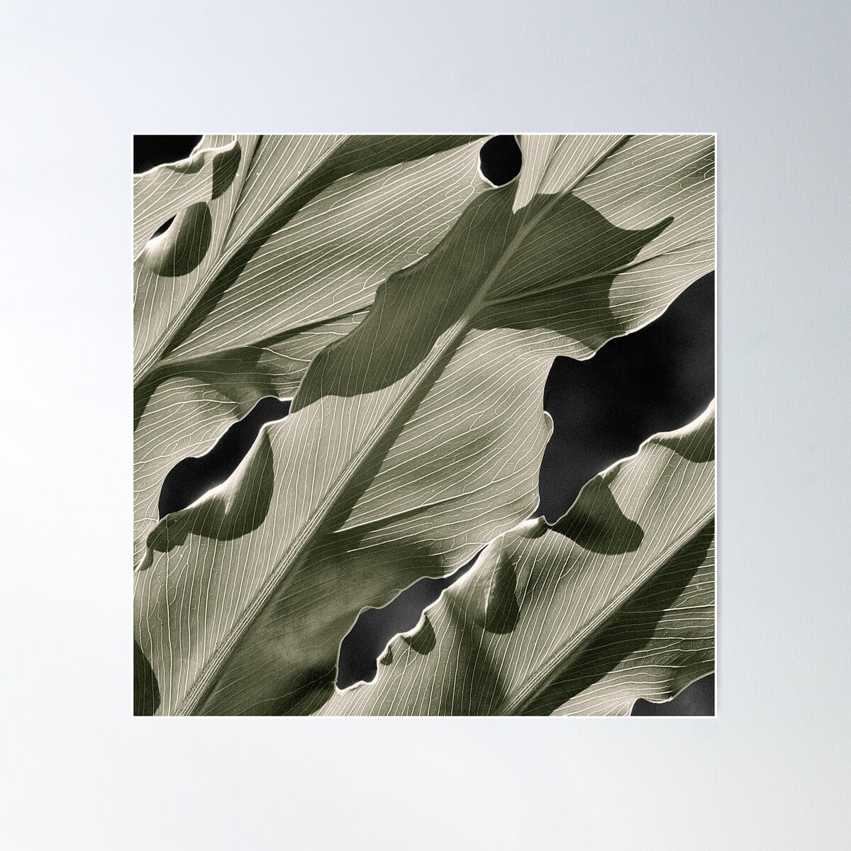 Philodendron Poster Wall Art, Modern Wall Decor For Living Room Bedroom ...