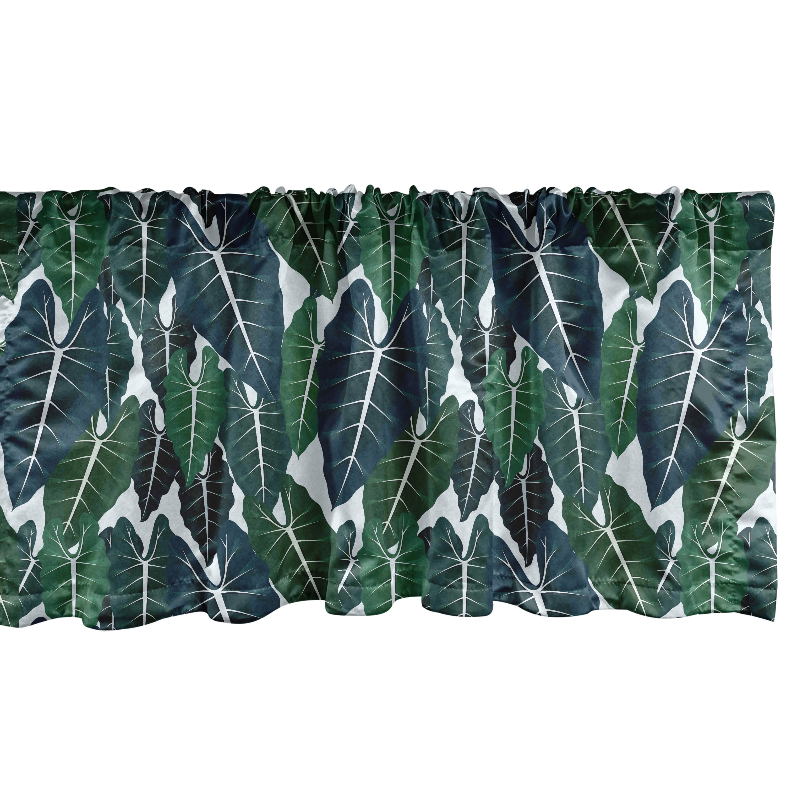 Philodendron Window Valance, Exotic Leaf Perennial Australian Local ...