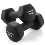 Hand Held Weights