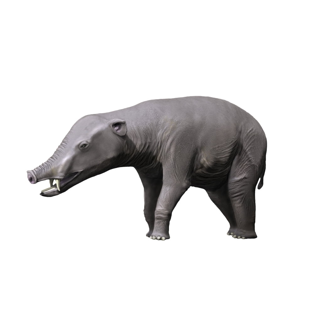 Phiomia is a proboscidian from the Oligocene epoch. Poster Print by ...