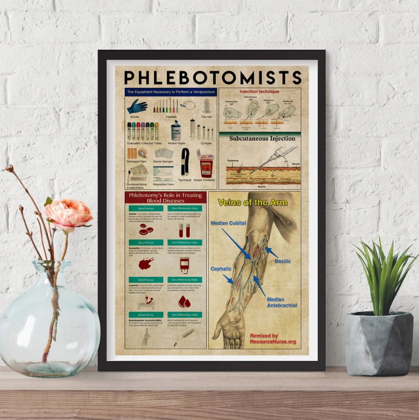 Phlebotomists Knowledge Poster Veins Of The Arm Retro Poster Room ...
