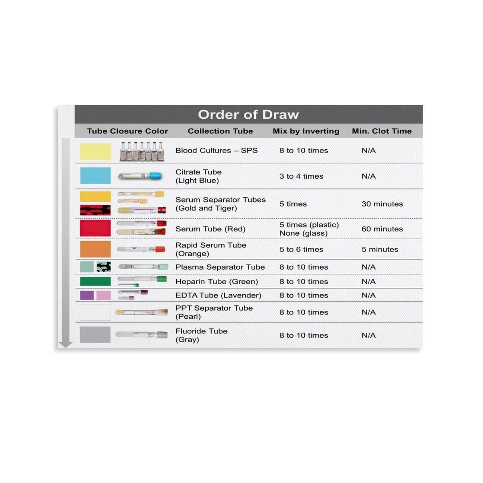 Phlebotomy Wall Art Evacuation Tube Color Codes And Order Of Blood Draw ...